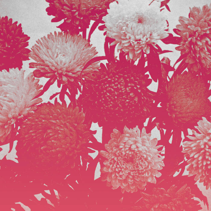 AMELIA COURTHOUSE - Broken Things LP – Bis Aufs Messer Records